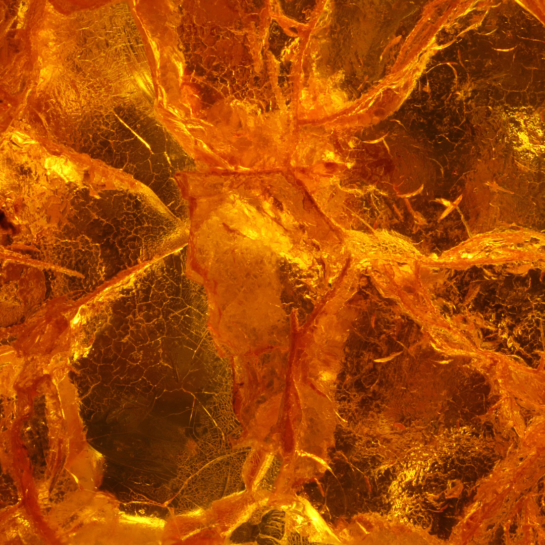 Sens Unique Parfumerie - Parfums de créateurs 🌎 Livraison offerte dès 15€